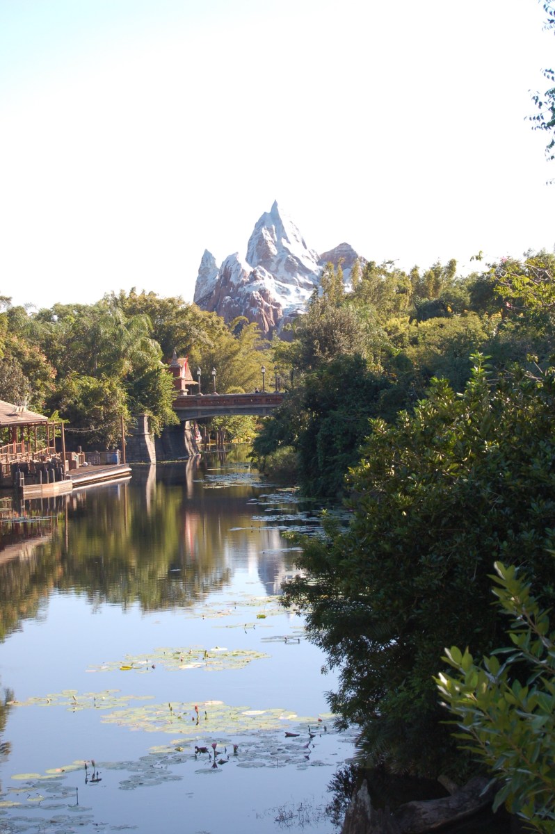 Opposite World | co.mission